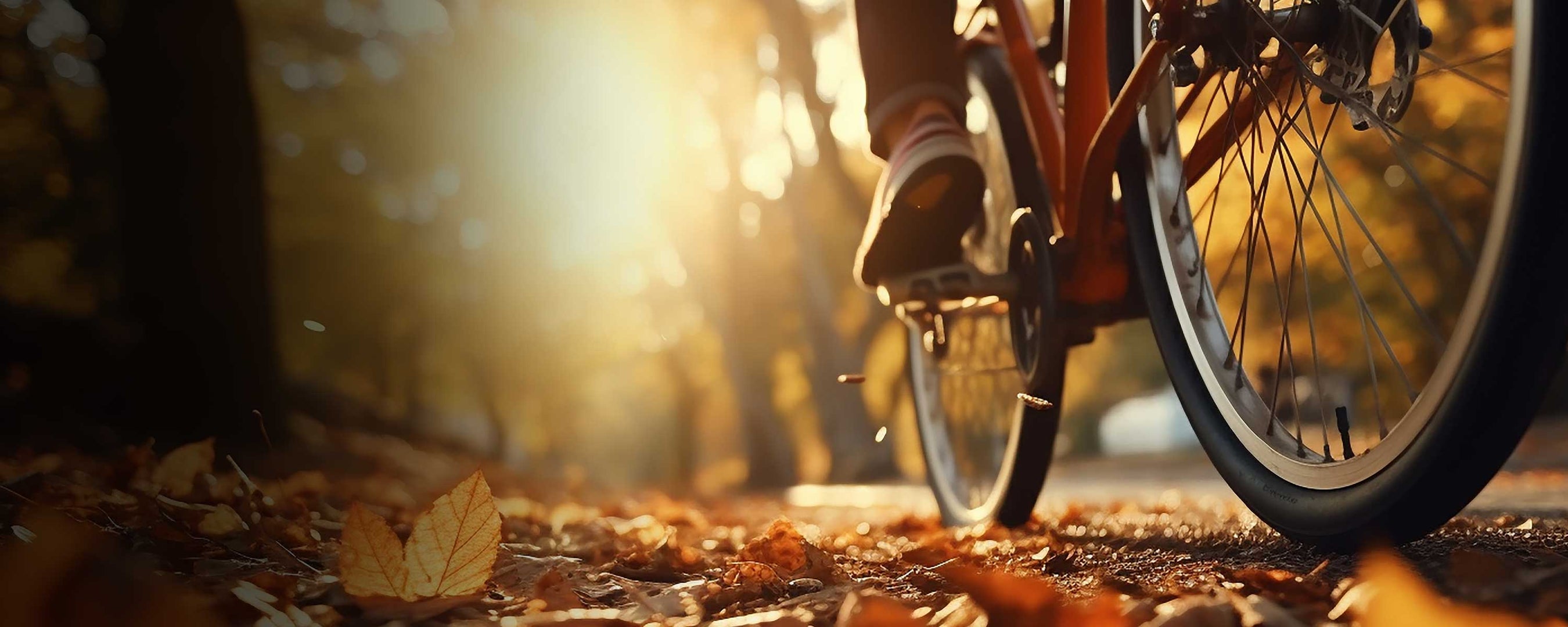 Liftow Cycling Towards Sustainability